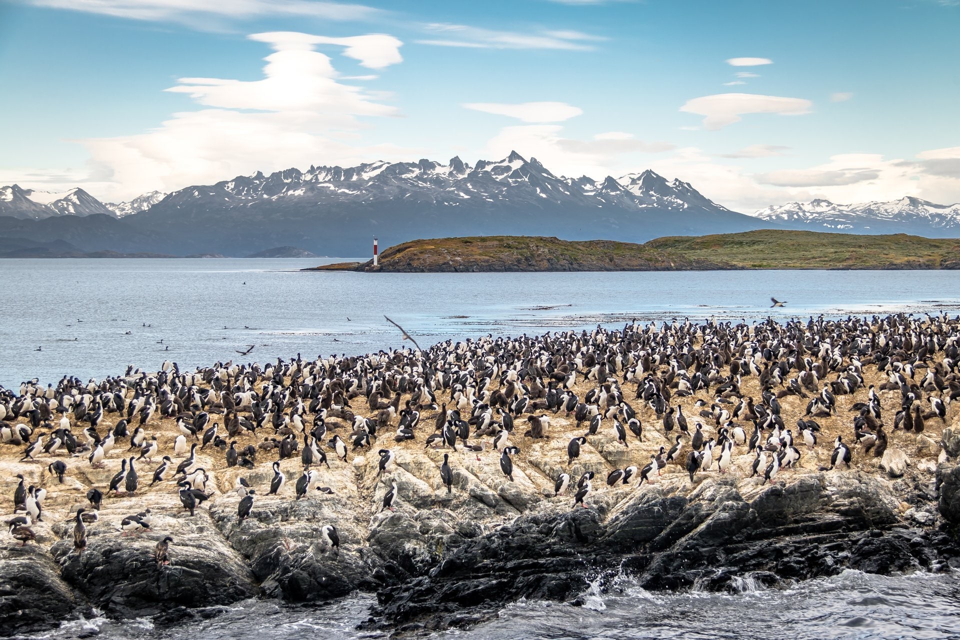 Best Place To See Orcas In The Wild | Celebrity Cruises
