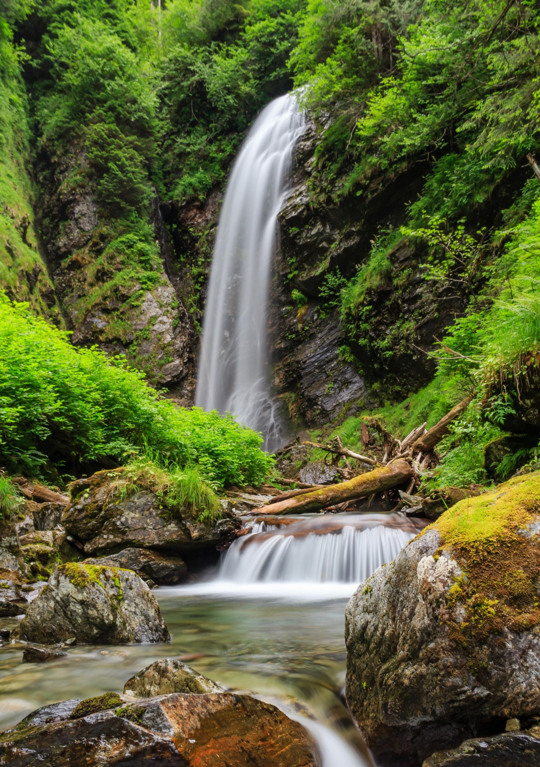 23 Best Things to Do in Sitka, Alaska | Celebrity Cruises