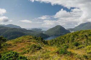 23 Best Things to Do in Sitka, Alaska | Celebrity Cruises