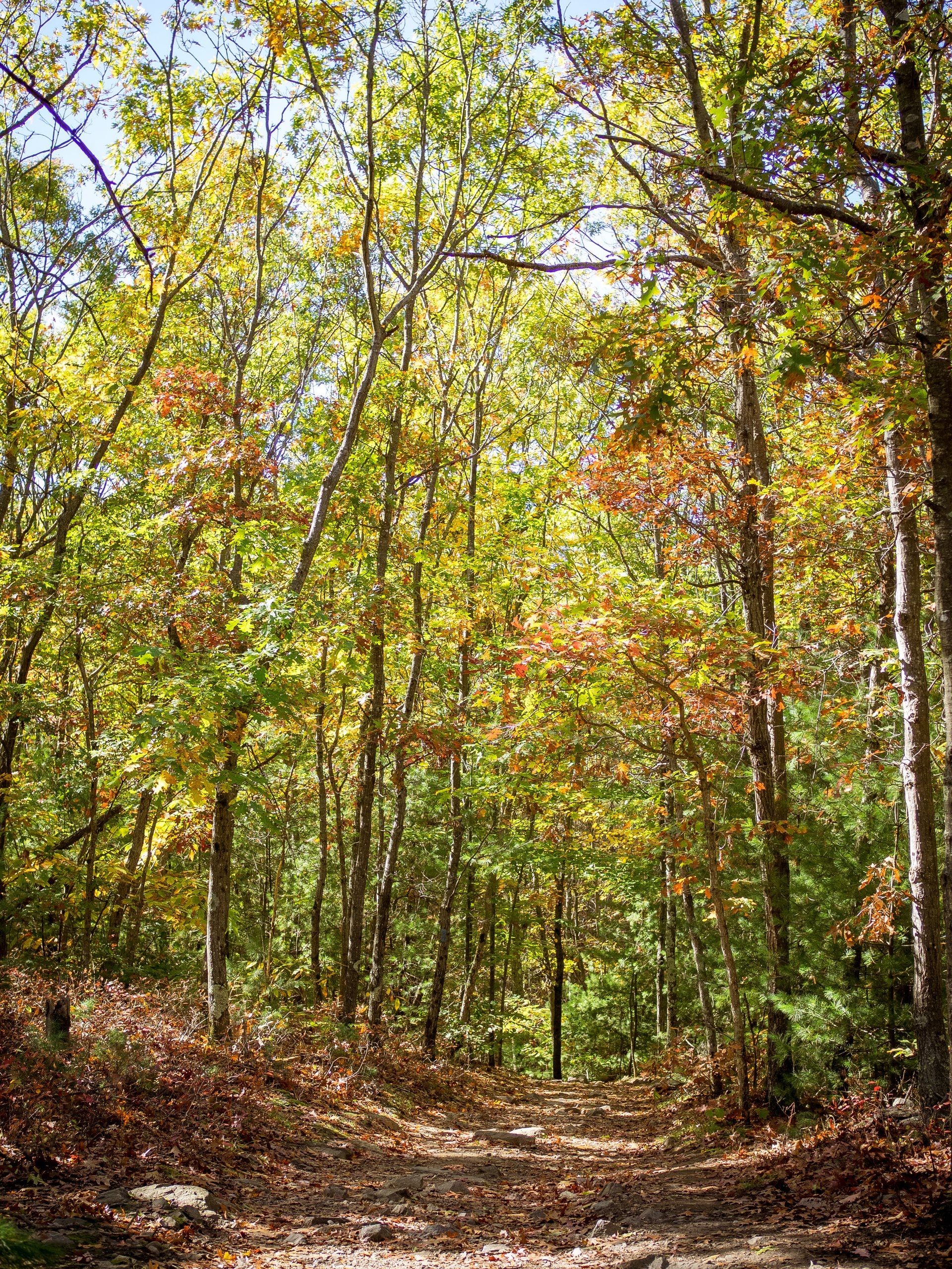 17 Best Hikes in New England | Celebrity Cruises