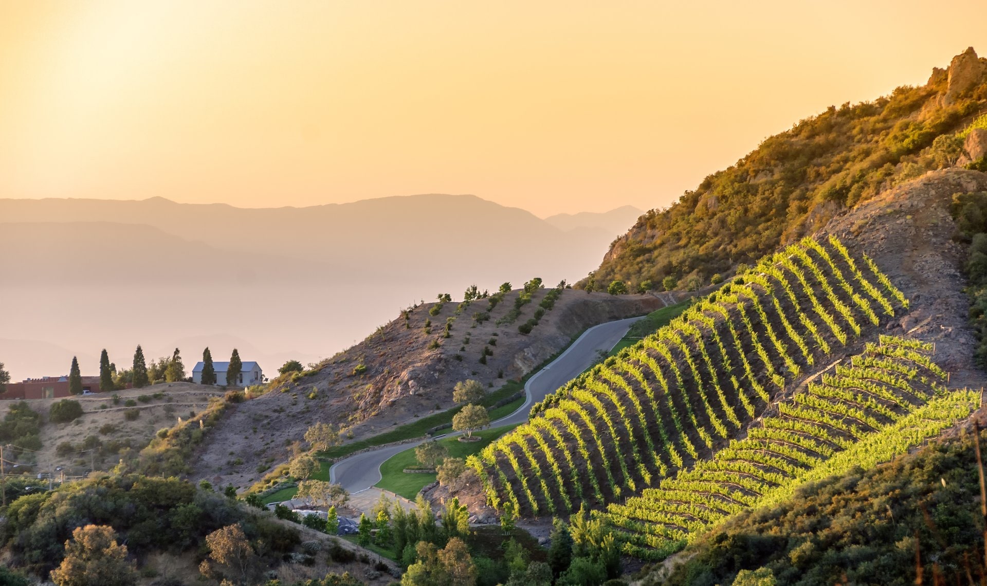 Top California Wine Regions To Visit | Celebrity Cruises