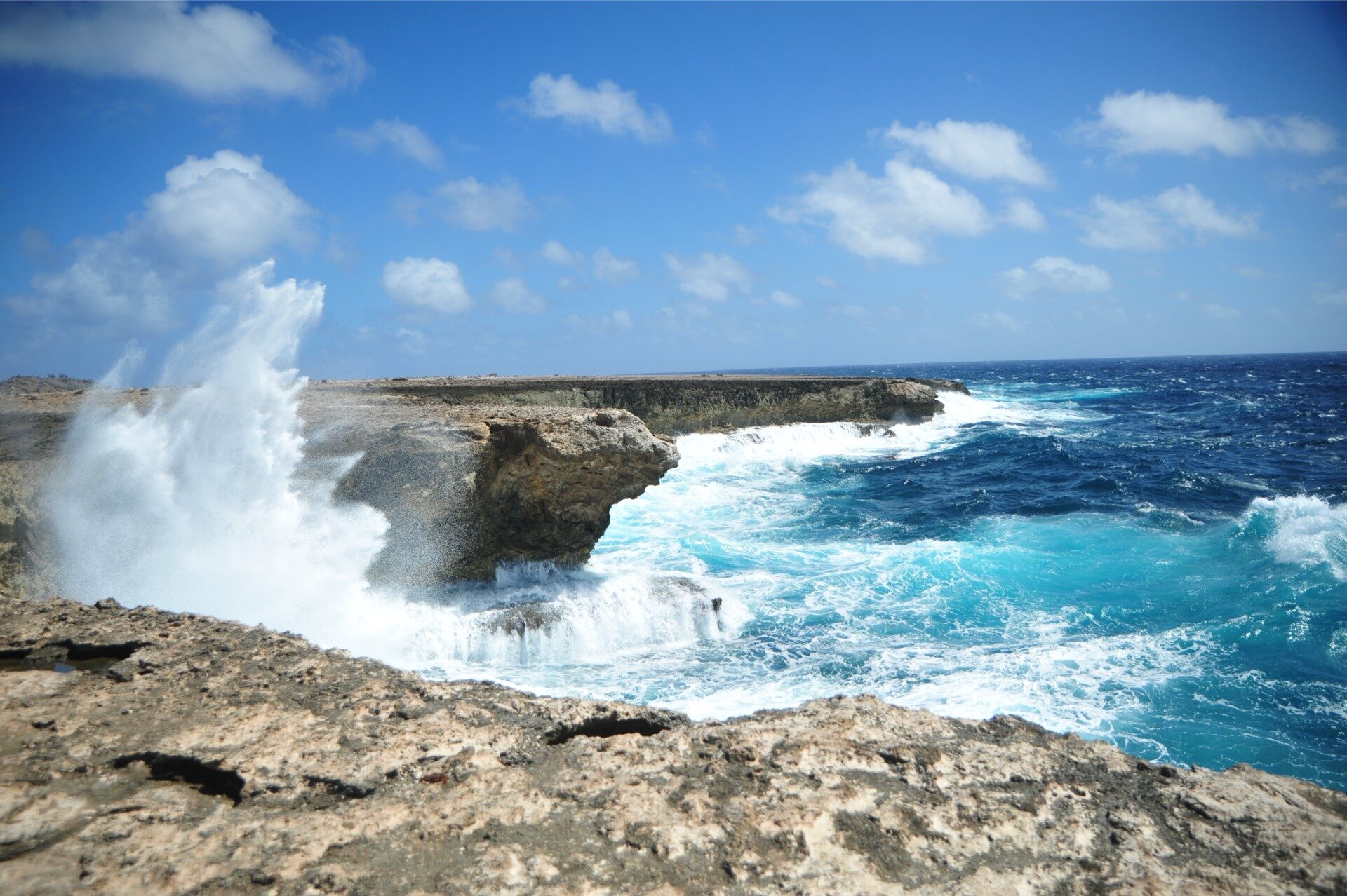 24 Top Things to Do in Bonaire | Celebrity Cruises