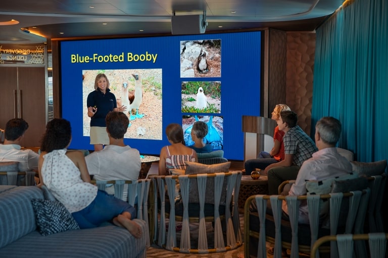 17 Cruise Tips for First-Timers | Celebrity Cruises