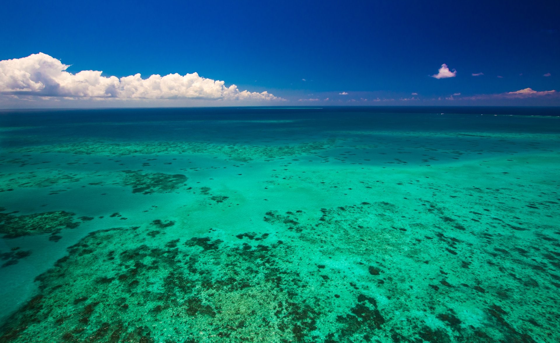 Visit the Great Barrier Reef: Everything You Need to Know | Celebrity ...