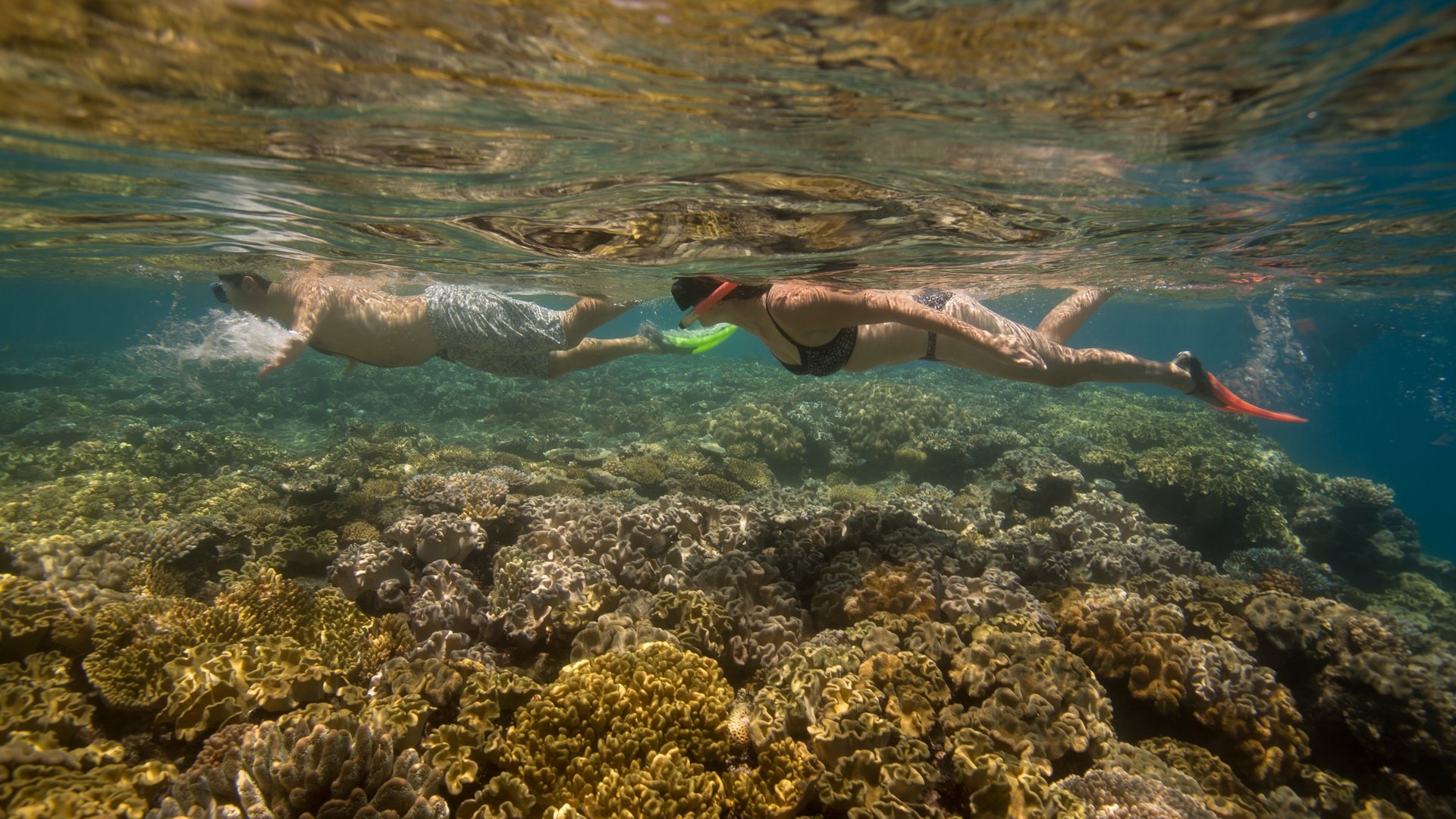 Visit the Great Barrier Reef: Everything You Need to Know | Celebrity ...