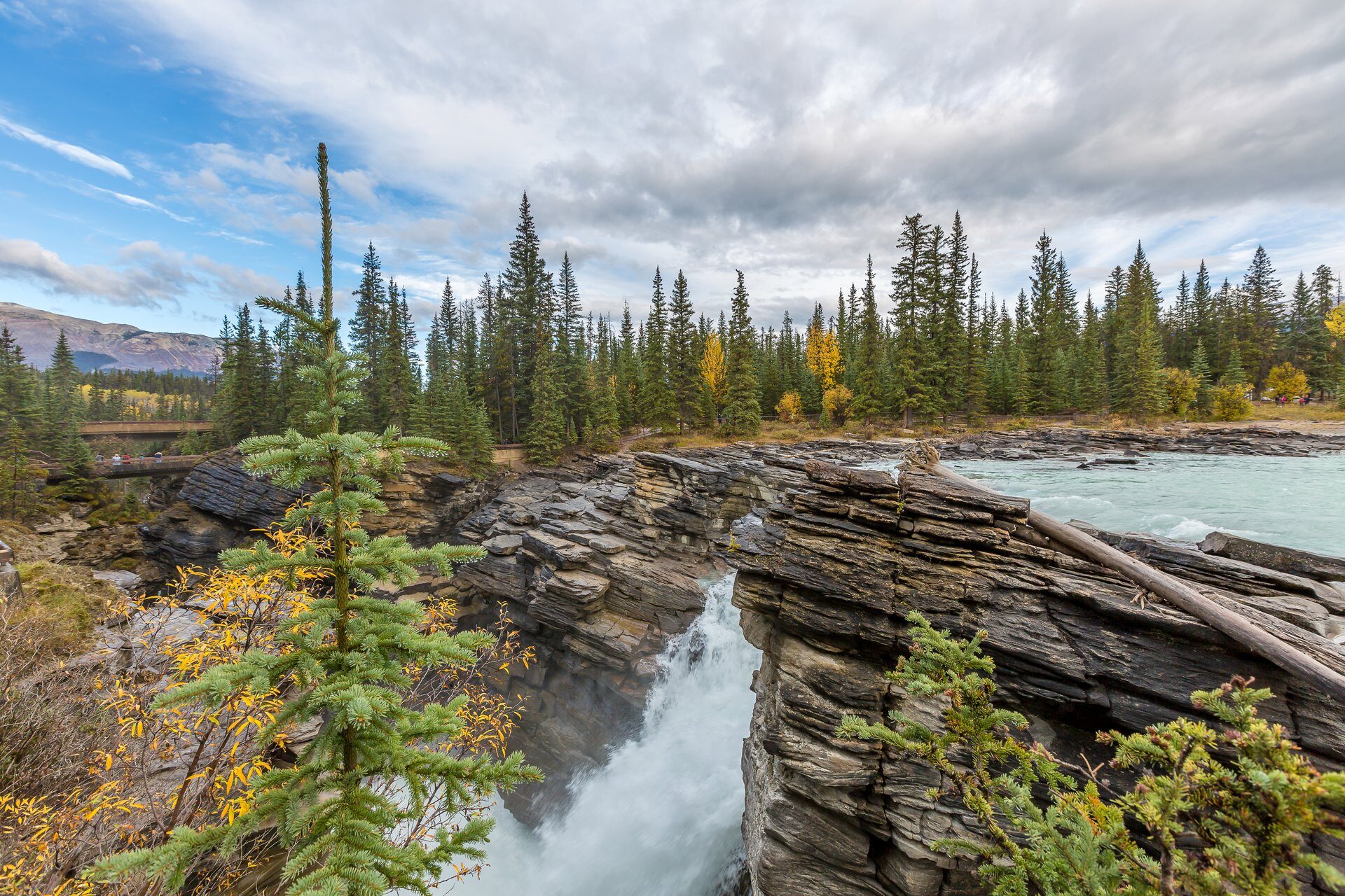 10 Incredible Things to Do in Jasper, Canada | Celebrity Cruises