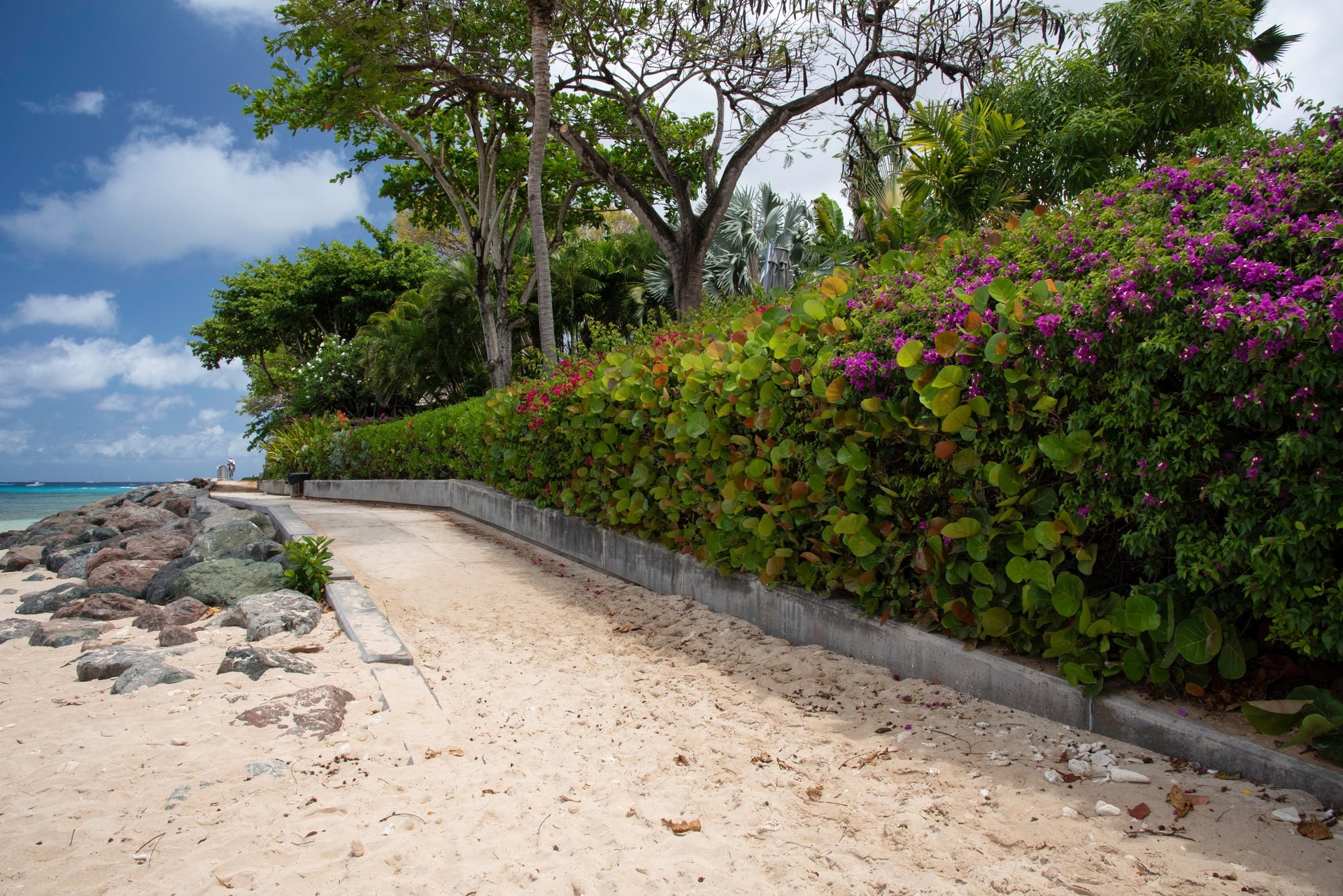 Best Places to Go Snorkeling in Barbados | Celebrity Cruises