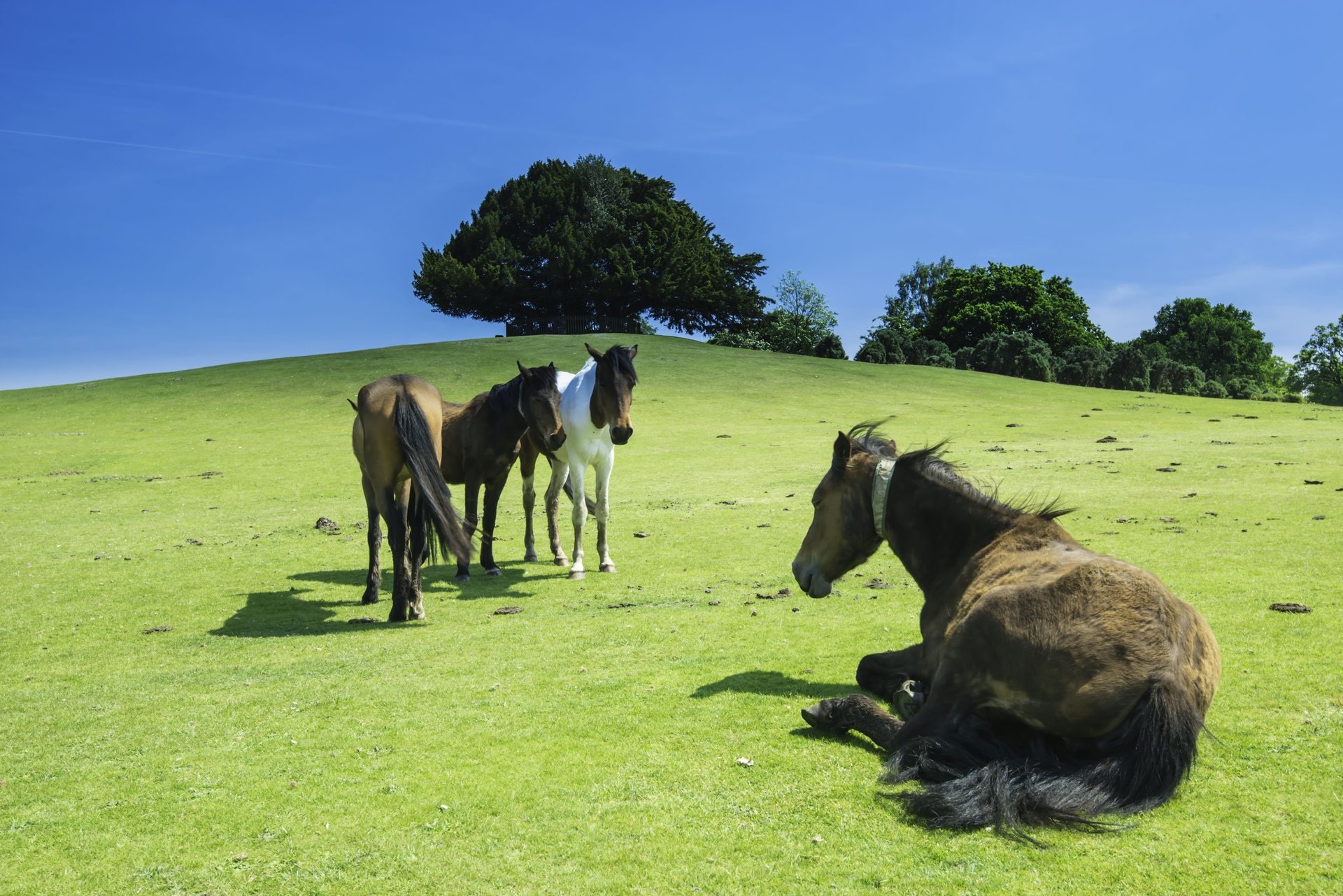 10 Unmissable Things to Do in & Around Southampton | Celebrity Cruises