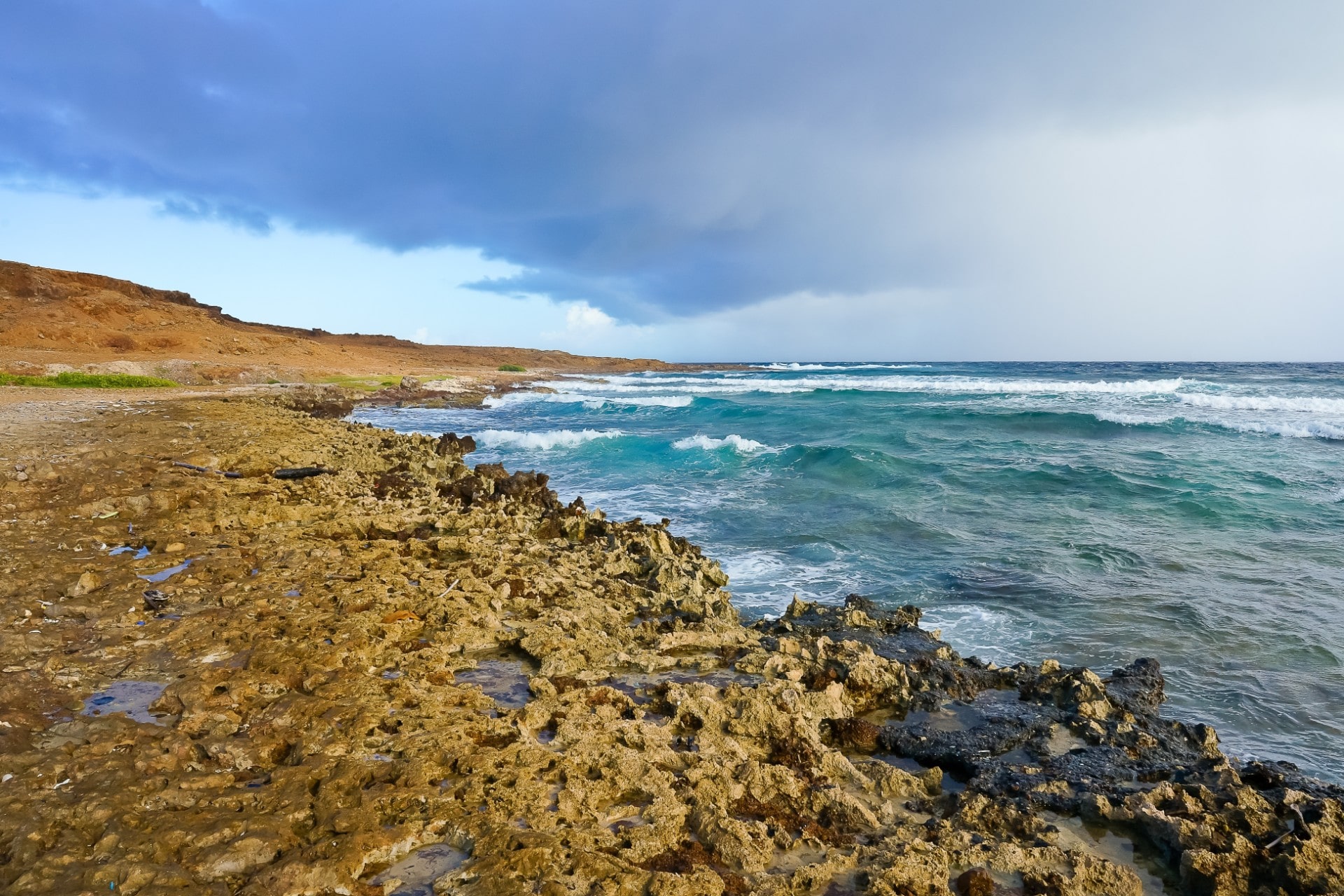16 Best Spots for Snorkeling in Aruba | Celebrity Cruises
