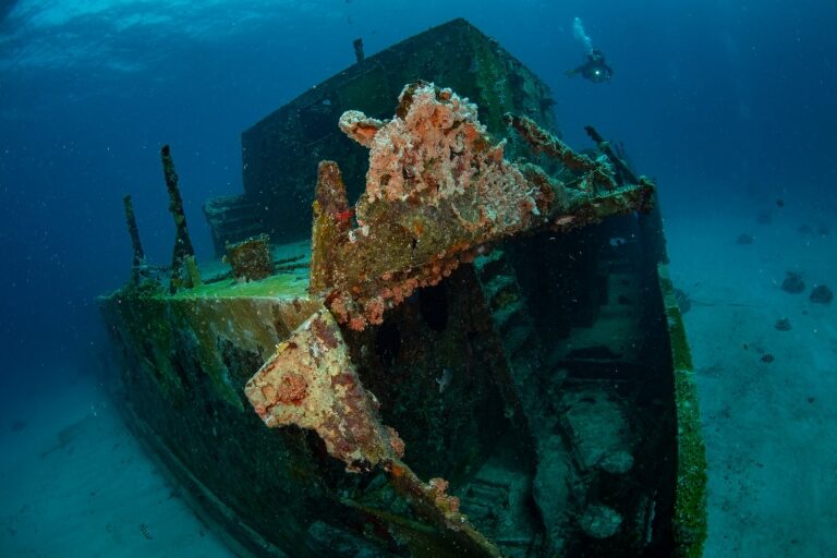 Best Scuba Diving in St. Maarten | Celebrity Cruises