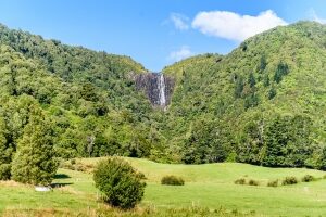 9 Exciting Things to Do in Tauranga | Celebrity Cruises