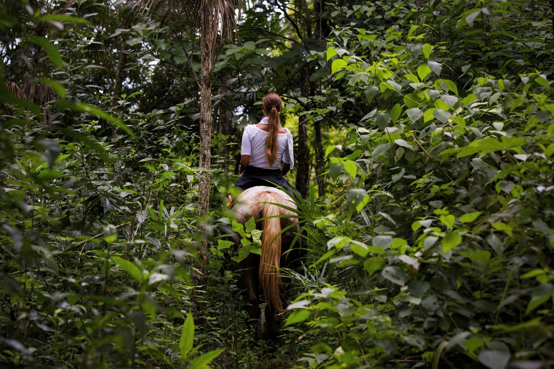 11 Unforgettable Adventures in Belize | Celebrity Cruises