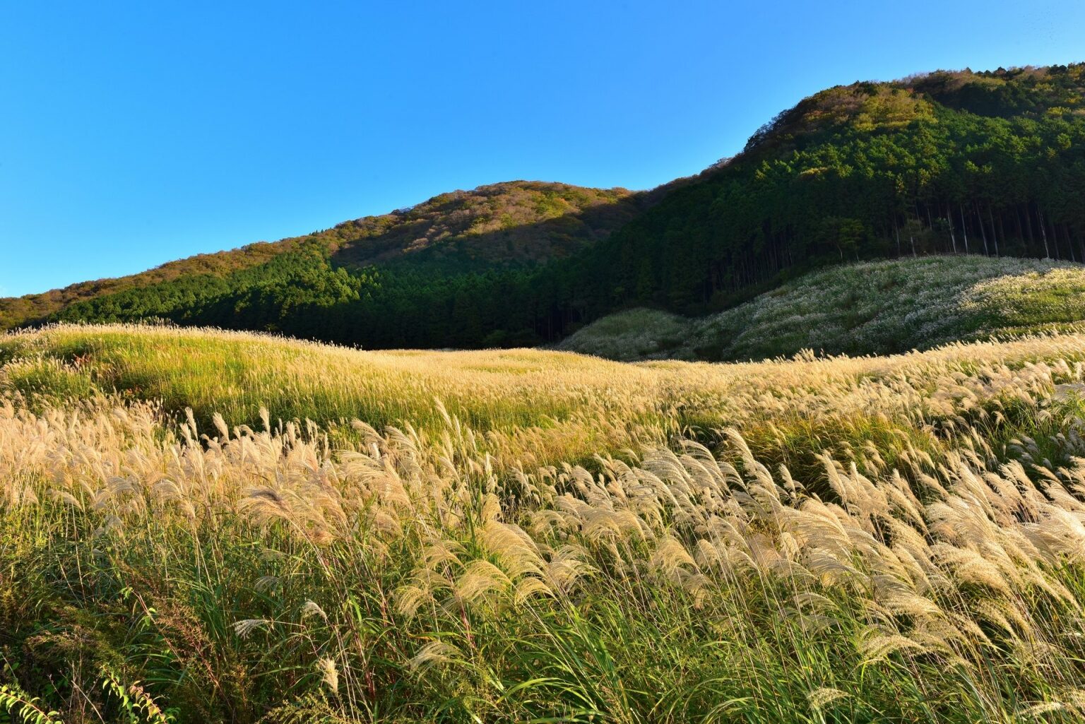 Why Visit Japan in the Fall | Celebrity Cruises