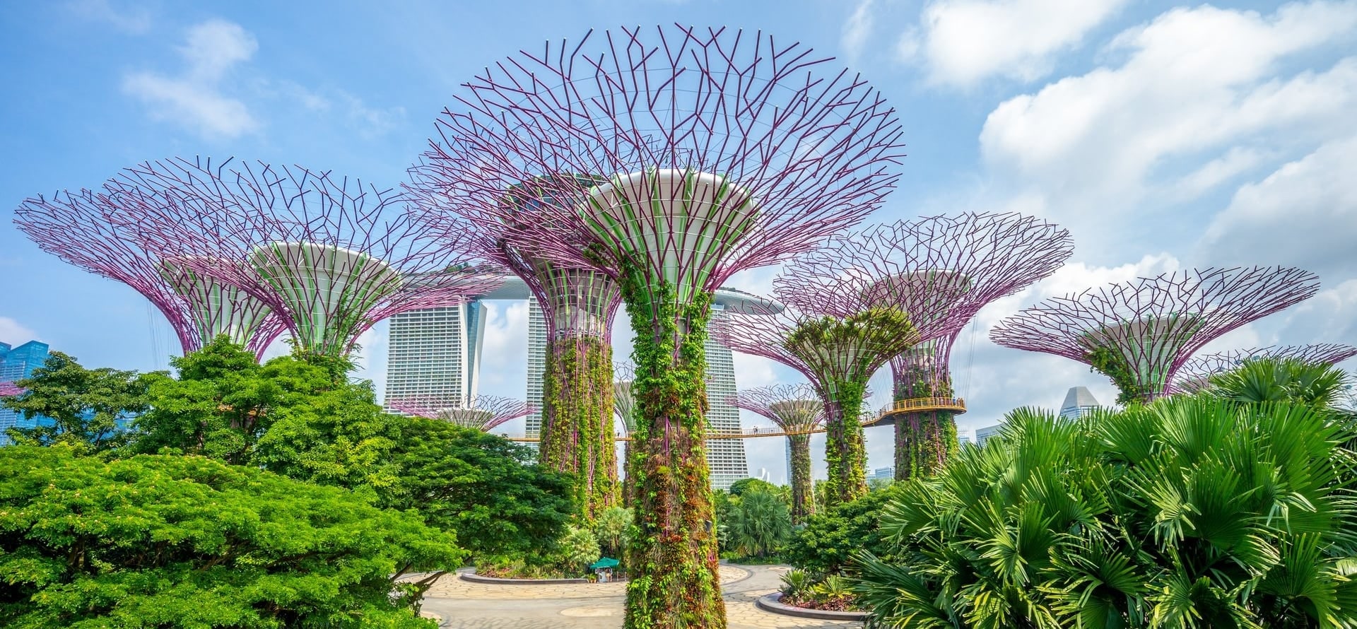 Hanging Garden Meaning Tagalog | Fasci Garden
