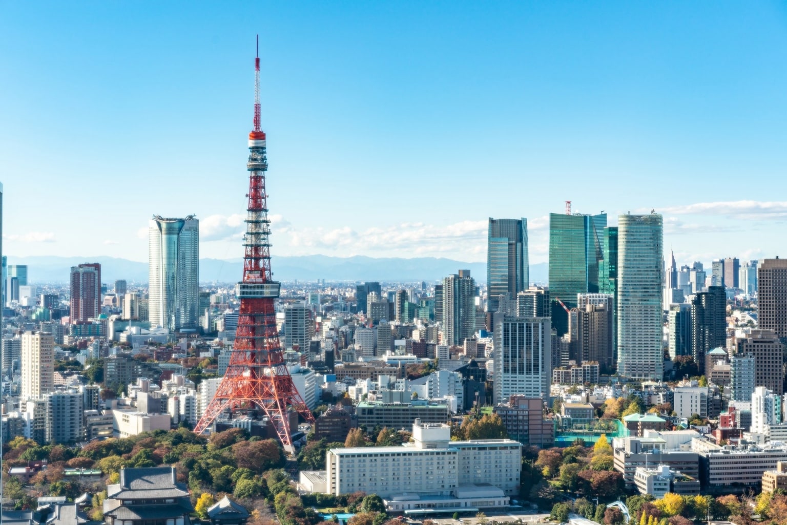 The Ultimate Guide to Tokyo’s Neighborhoods & Districts | Celebrity Cruises