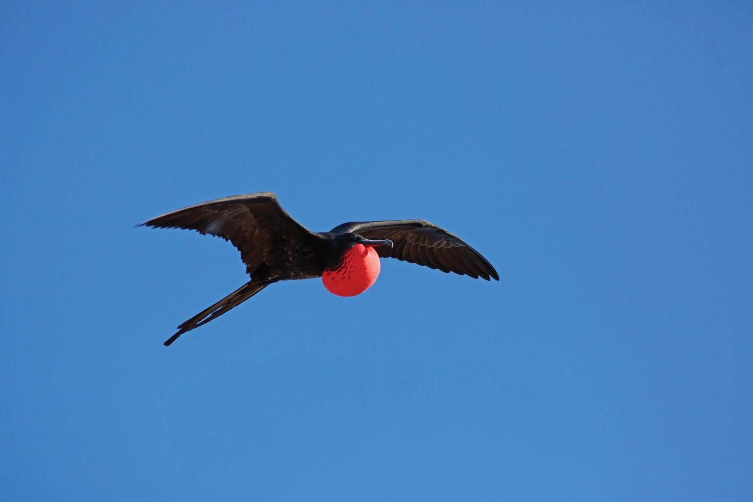 10 Unique Things to Do in the Galapagos | Celebrity Cruises