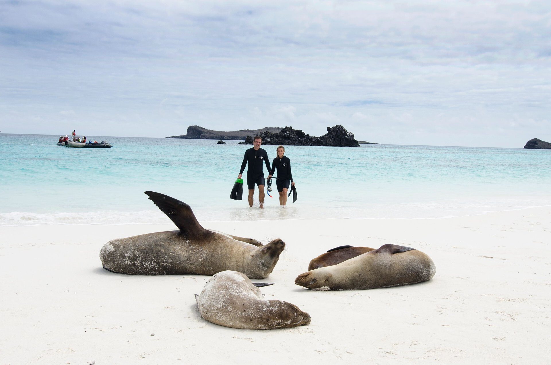 10 Unique Things to Do in the Galapagos | Celebrity Cruises