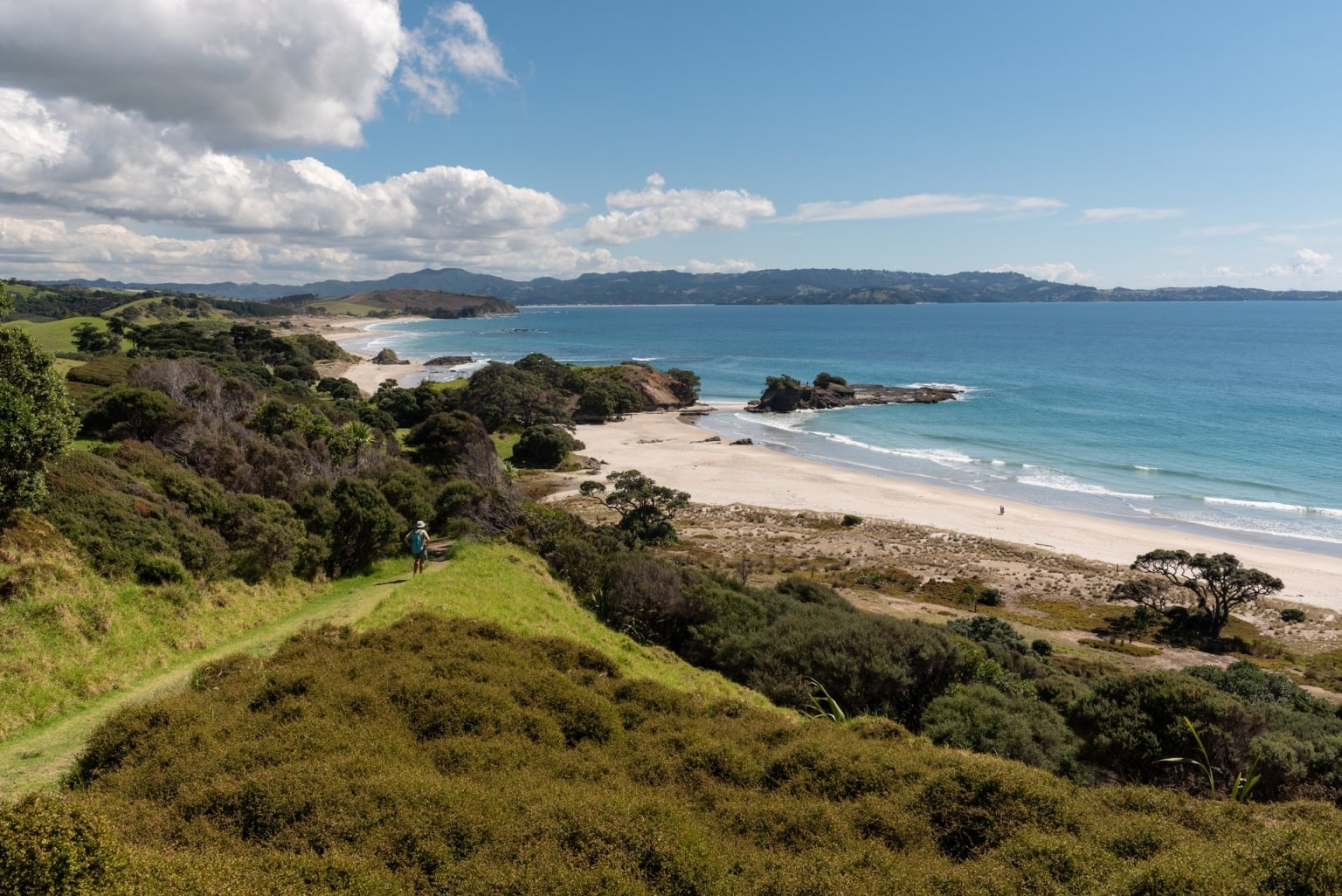 11 Best Beaches in Auckland | Celebrity Cruises
