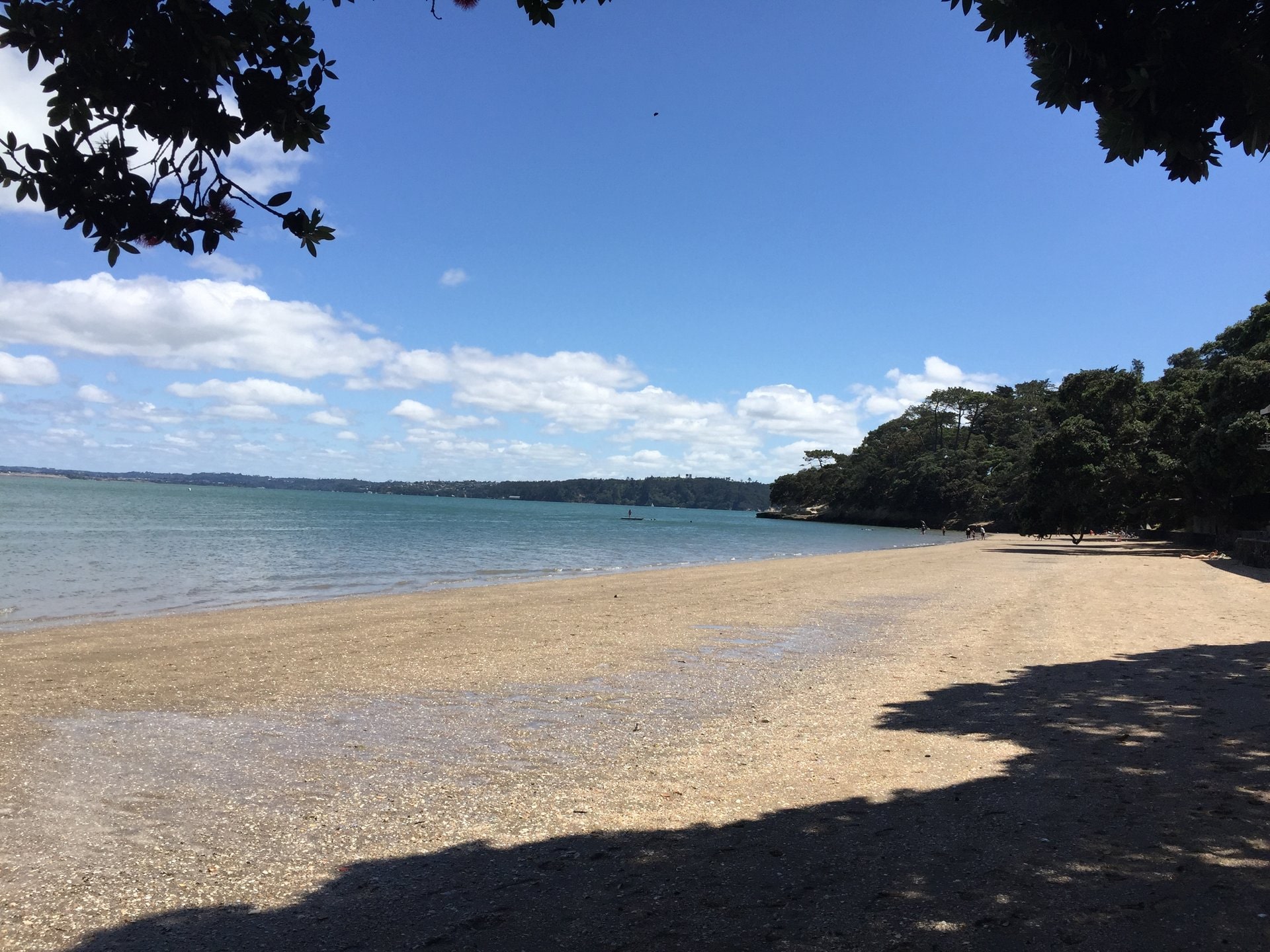 11 Best Beaches in Auckland | Celebrity Cruises