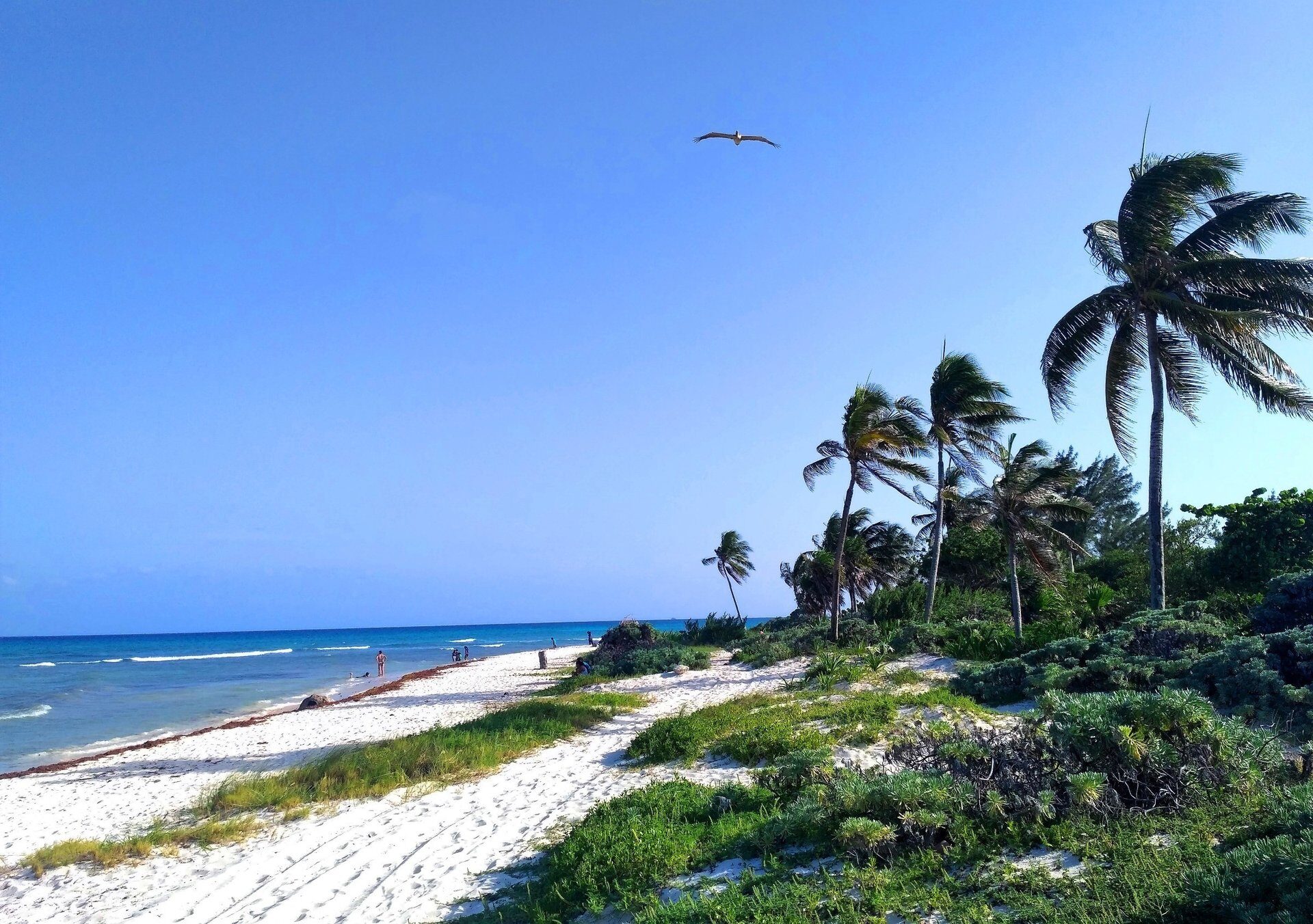 10 Best Beaches in the Riviera Maya | Celebrity Cruises