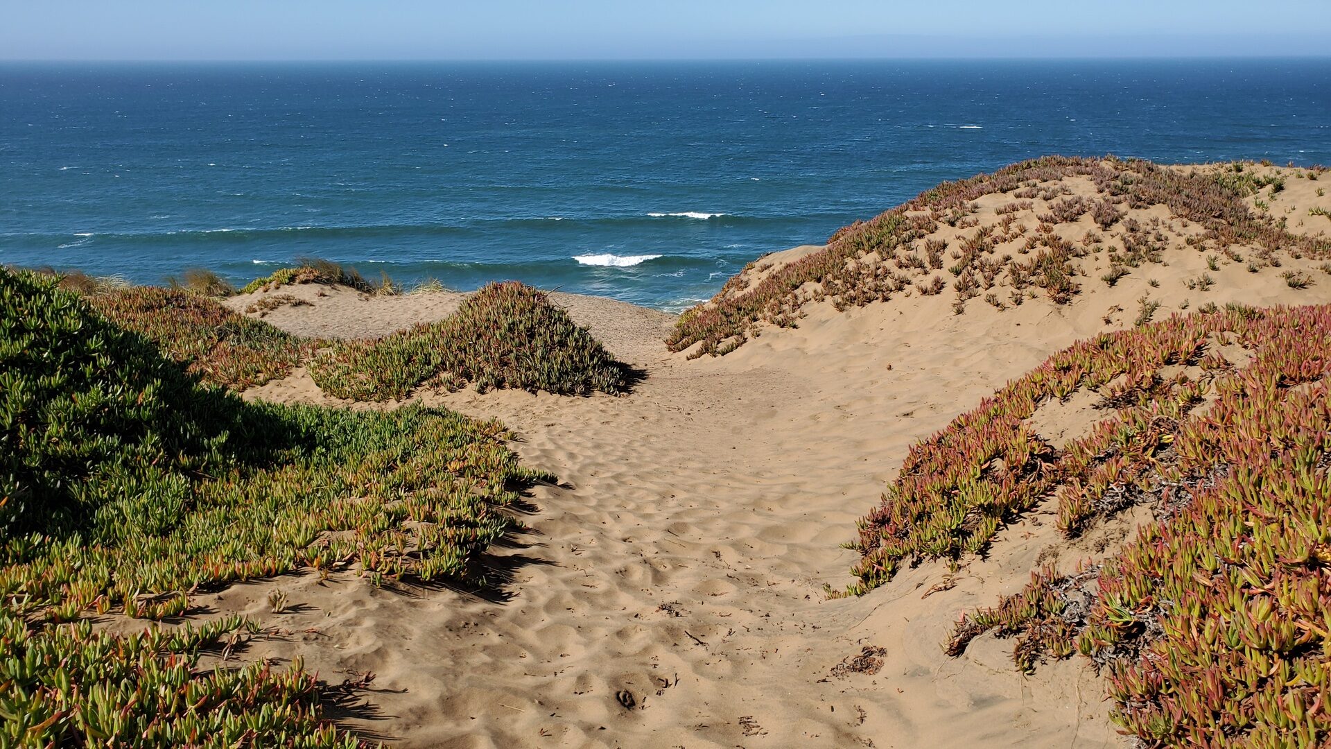 10 Best Beaches in San Francisco | Celebrity Cruises