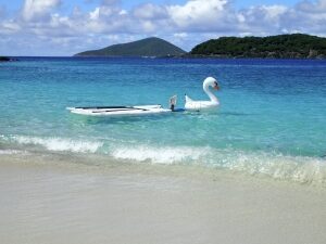 14 Best Beaches in the U.S. Virgin Islands | Celebrity Cruises