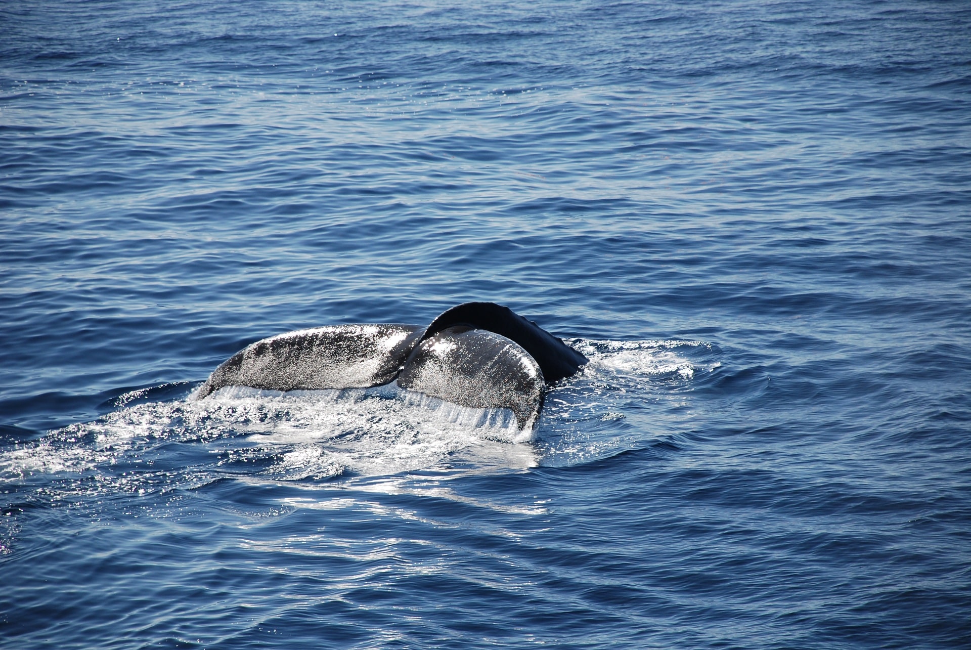 13 Best Things to Do in Cabo San Lucas | Celebrity Cruises