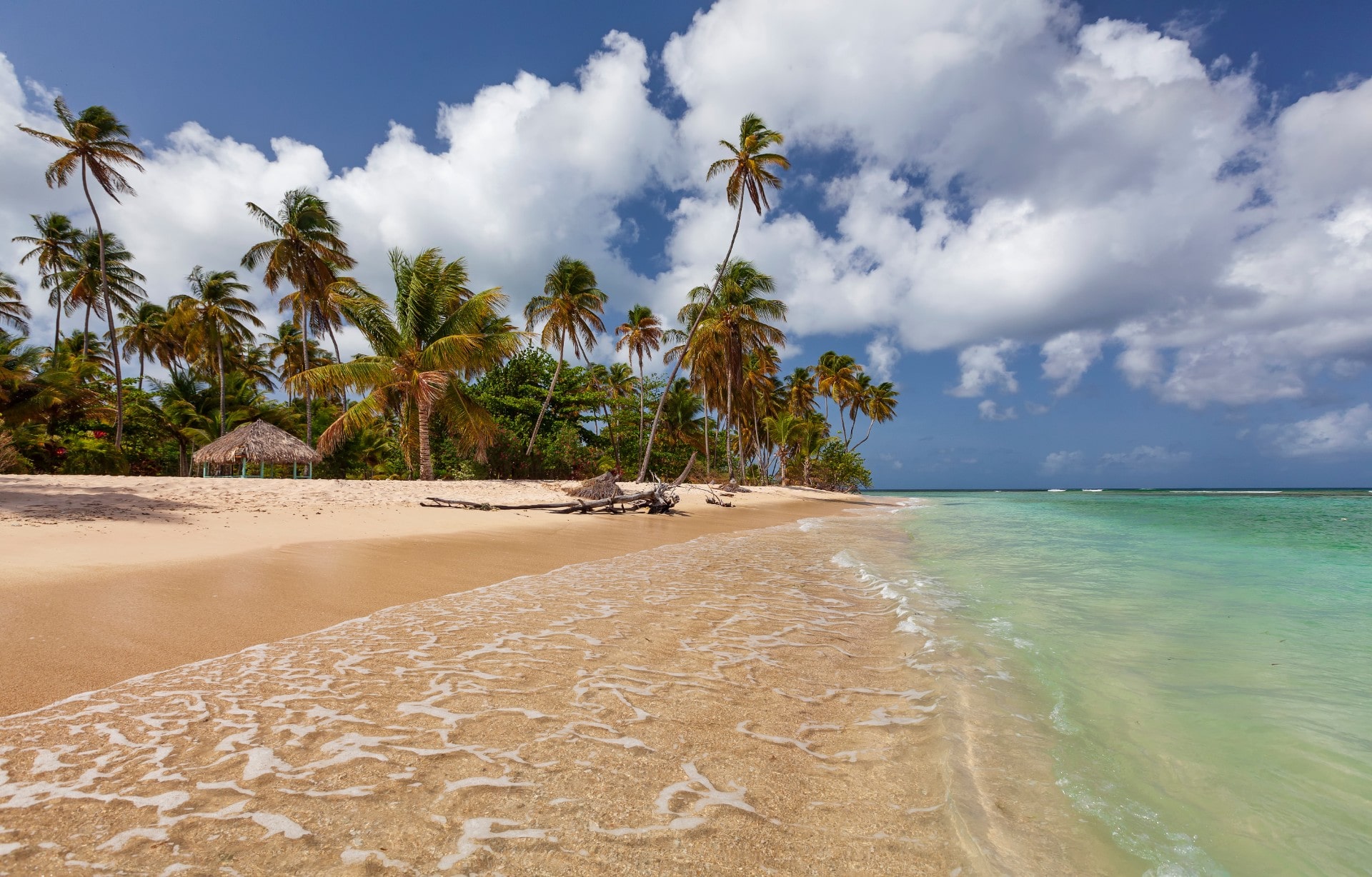 11 Best Things to Do in Tobago | Celebrity Cruises