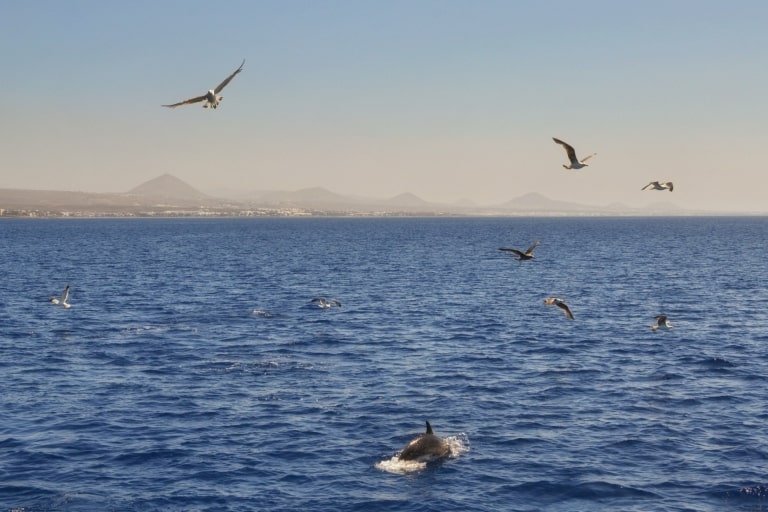 12 Best Things to Do in Lanzarote | Celebrity Cruises