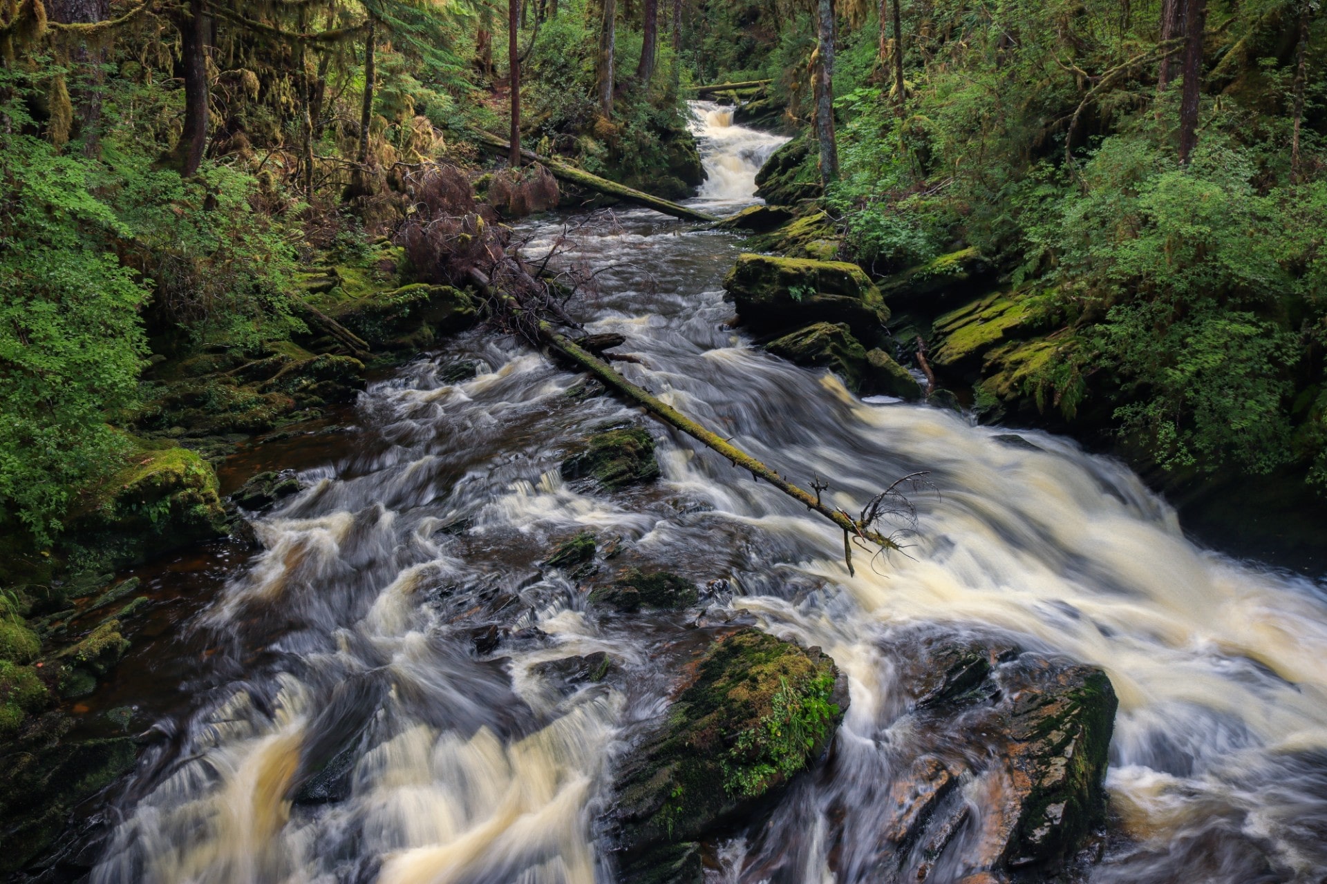 11 Awe-Inspiring Waterfalls in Alaska to Explore | Celebrity Cruises