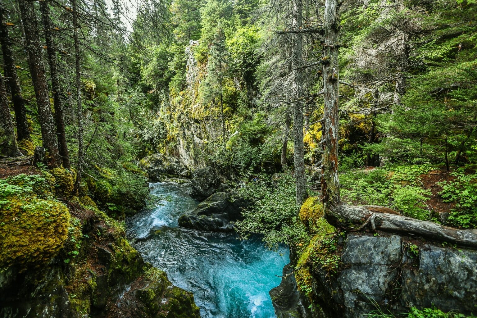 11 Awe-Inspiring Waterfalls in Alaska to Explore | Celebrity Cruises