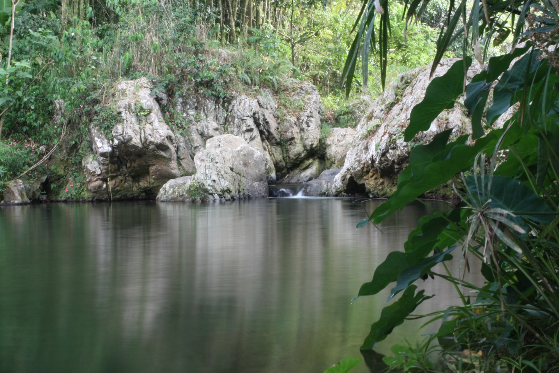12 Best Hikes in Puerto Rico | Celebrity Cruises