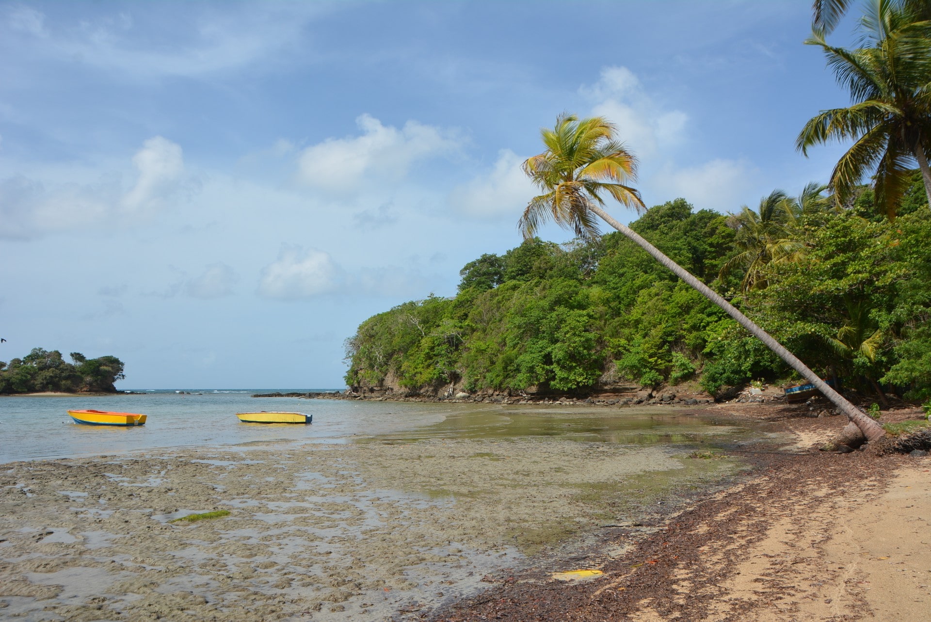 10 Best Beaches in Grenada | Celebrity Cruises