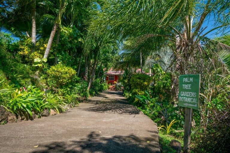 14 Best Things to Do in Grenada | Celebrity Cruises