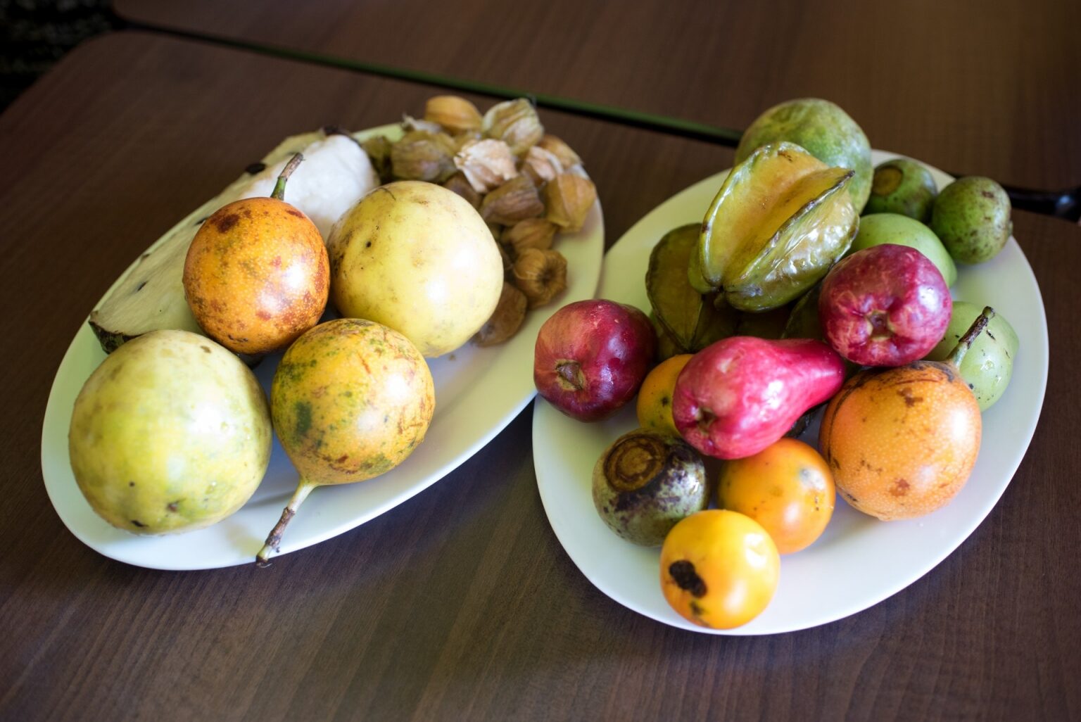 The Ultimate Costa Rican Food Guide | Celebrity Cruises