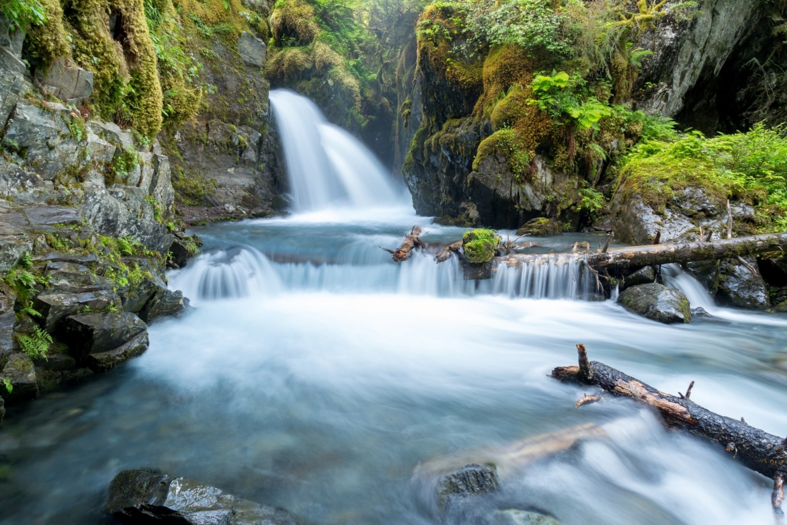 11 Expert Tips for Photographing Alaska's Landscapes & Wildlife ...