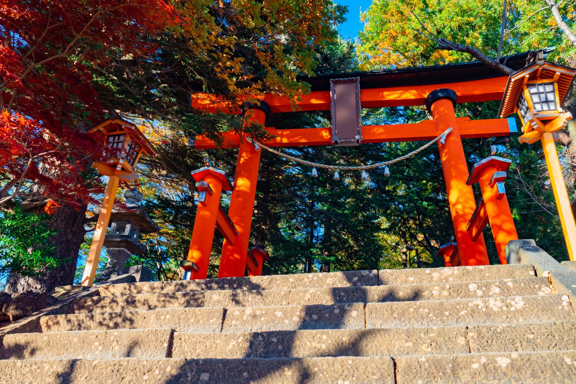 10 Awe-Inspiring Torii Gates in Japan | Celebrity Cruises