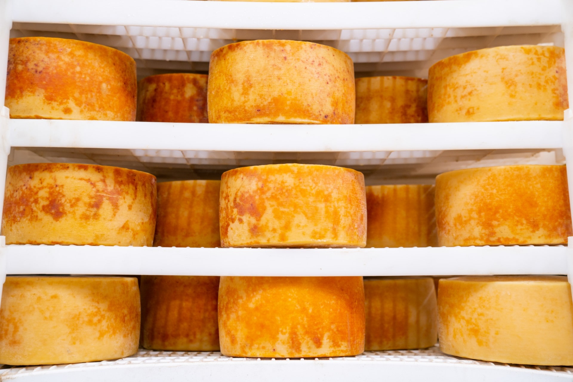 The Ultimate Croatian Food Guide | Celebrity Cruises