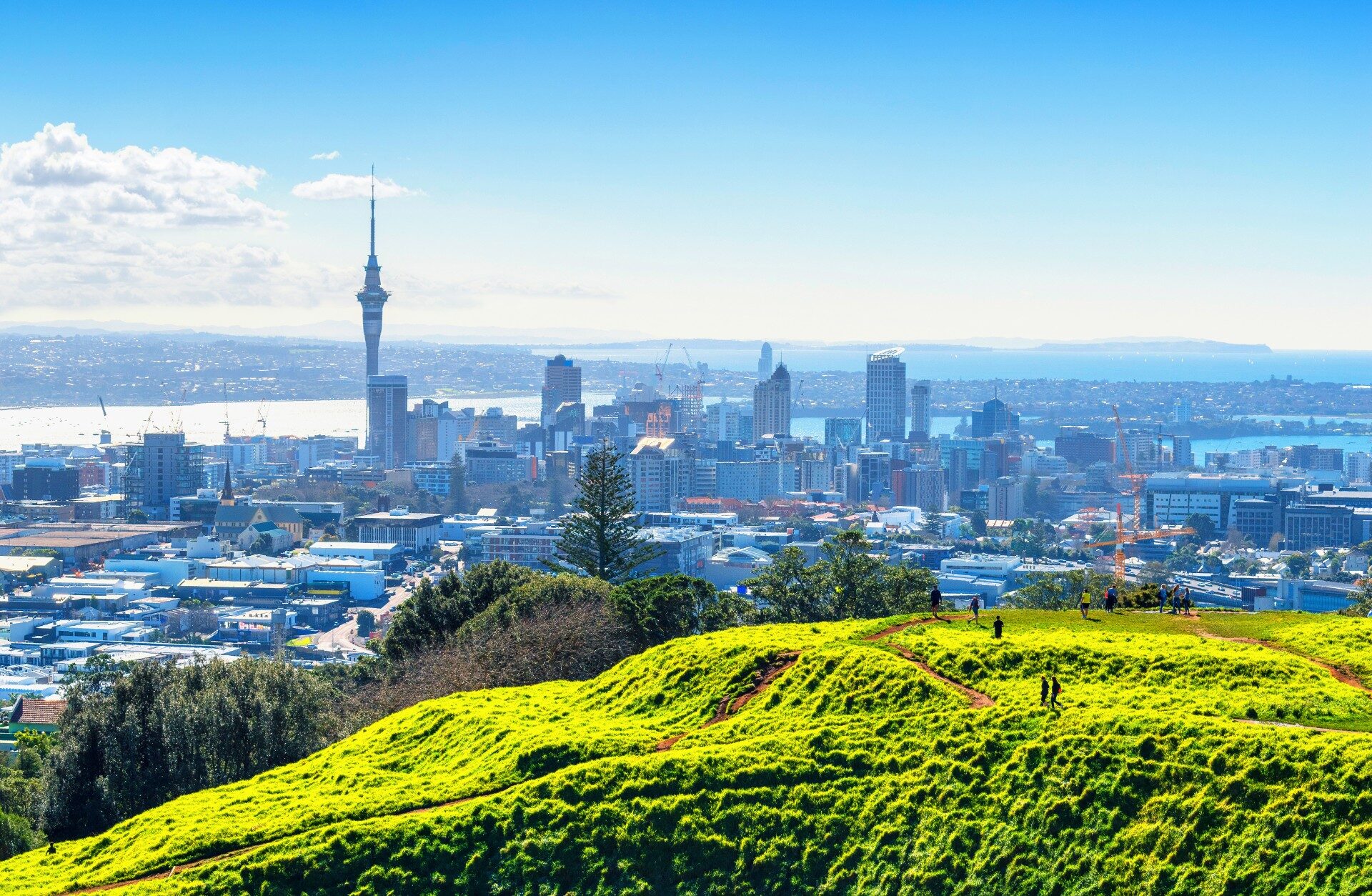 15 Best Things to Do in Auckland | Celebrity Cruises