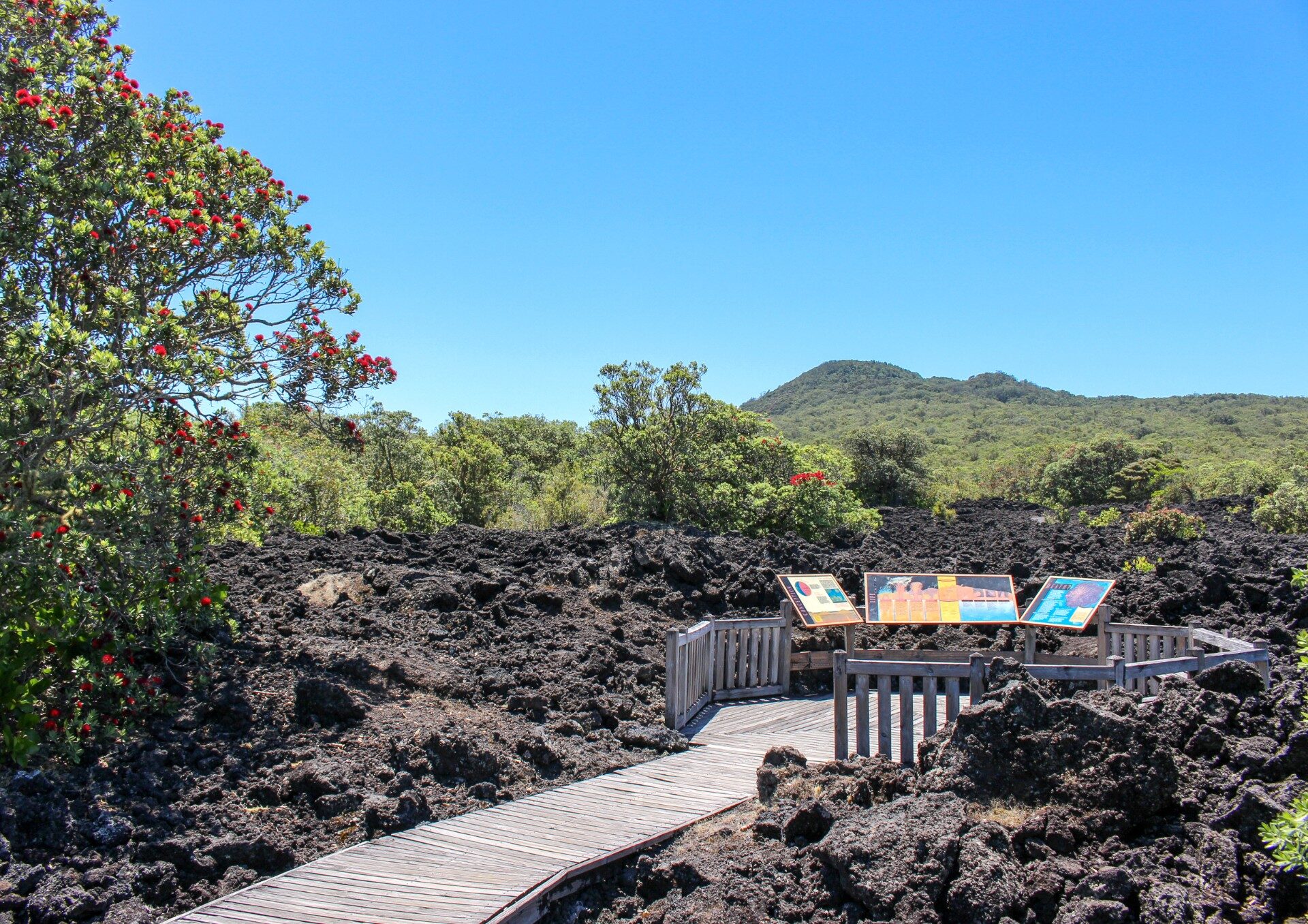15 Best Things to Do in Auckland | Celebrity Cruises