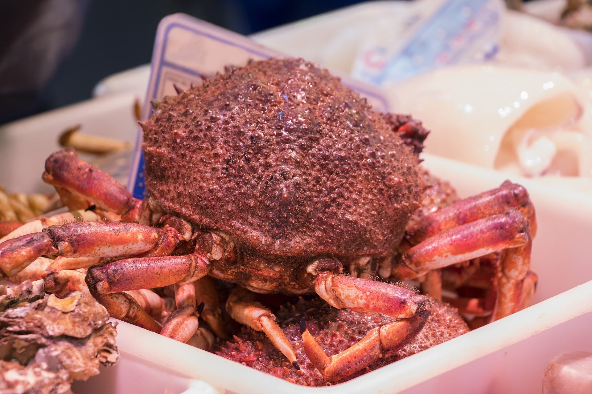 The Ultimate Chilean Food Guide | Celebrity Cruises