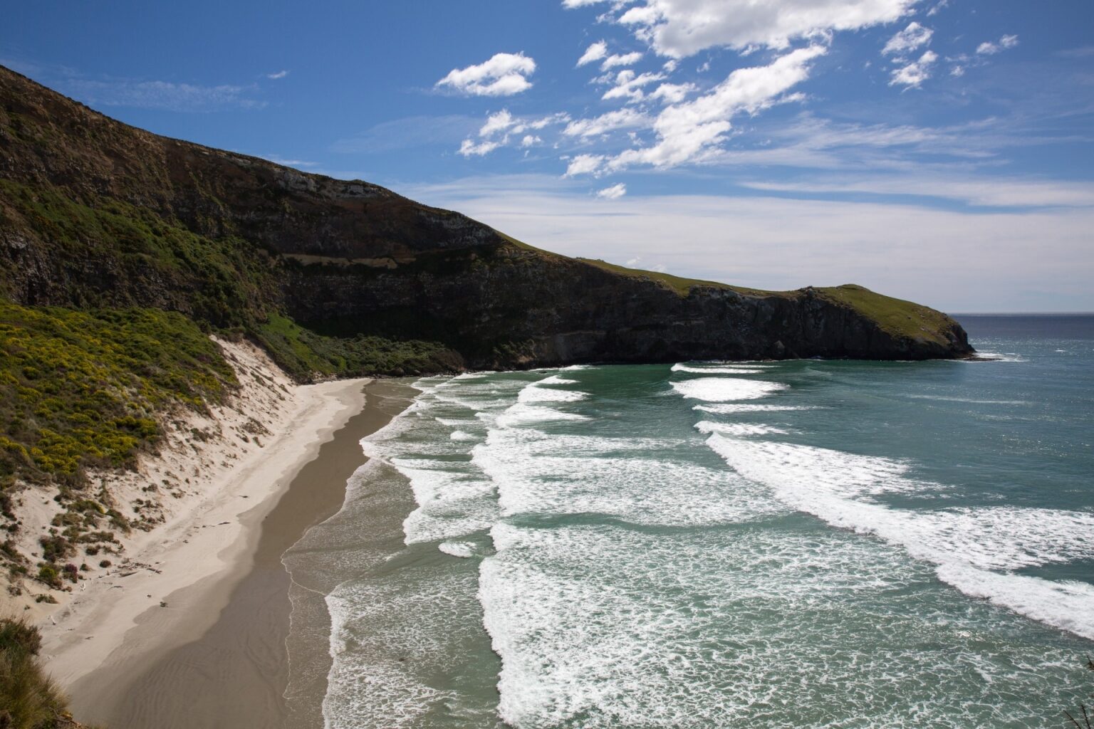 13 Best Things to Do in Dunedin | Celebrity Cruises