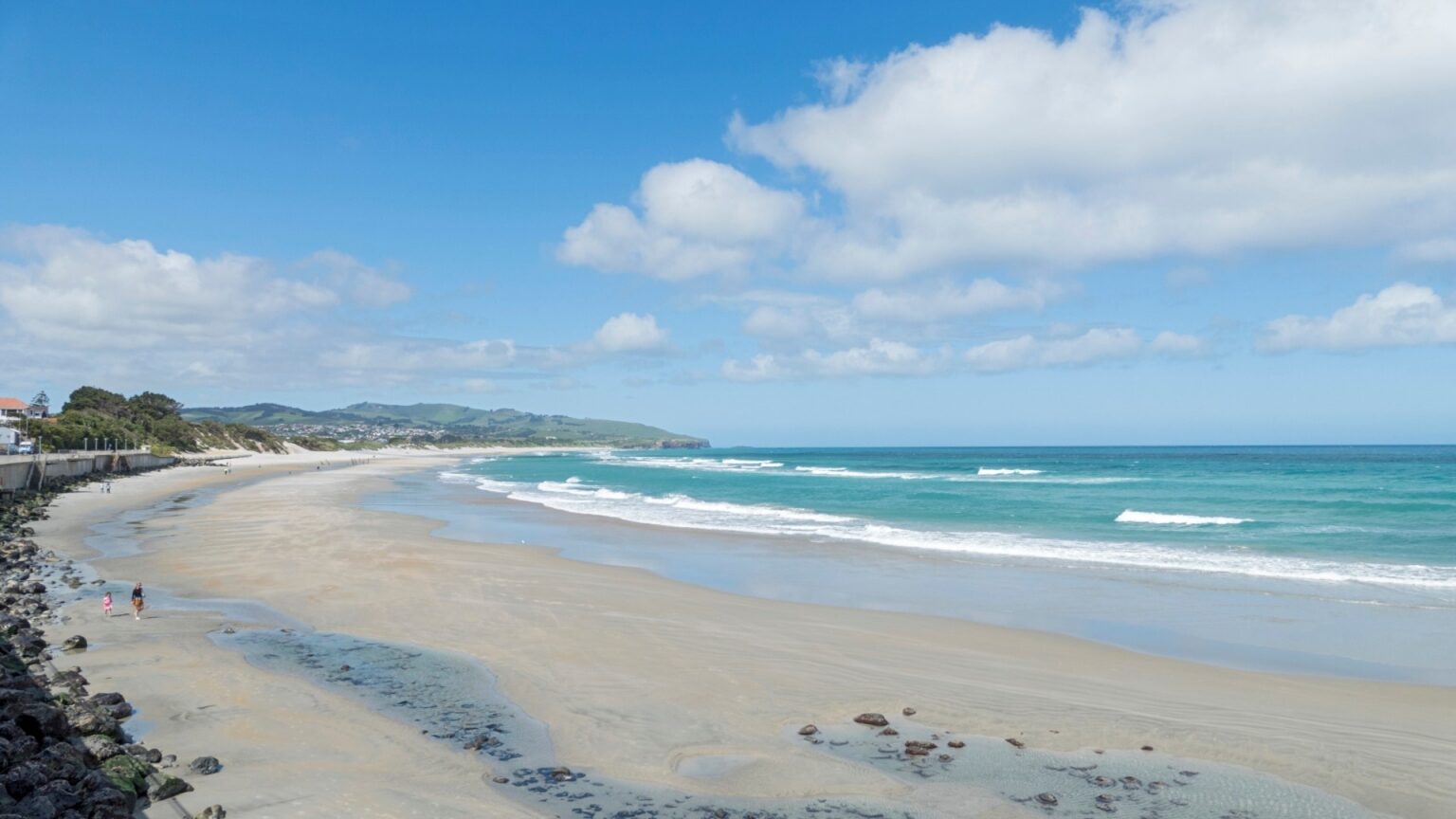 13 Best Things to Do in Dunedin | Celebrity Cruises