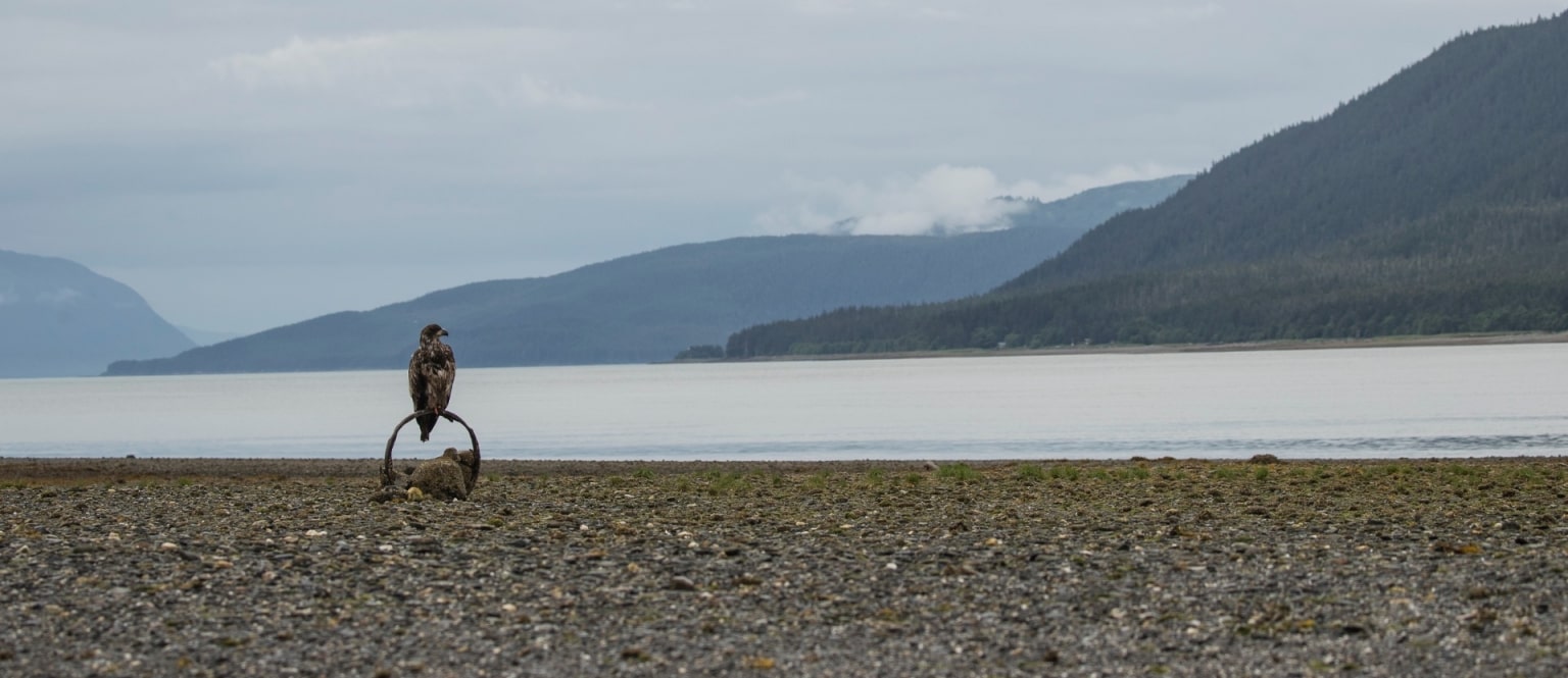 12 Best Beaches in Alaska | Celebrity Cruises
