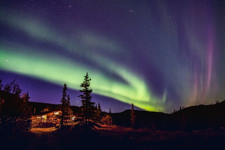 When Is the Best Time to Visit Denali National Park? | Celebrity Cruises