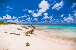 12 Best Beaches in Bonaire | Celebrity Cruises