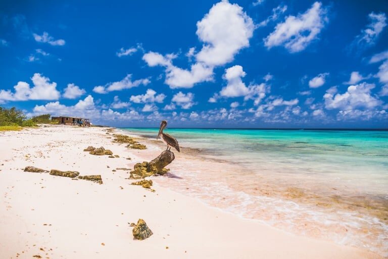 12 Best Beaches in Bonaire | Celebrity Cruises