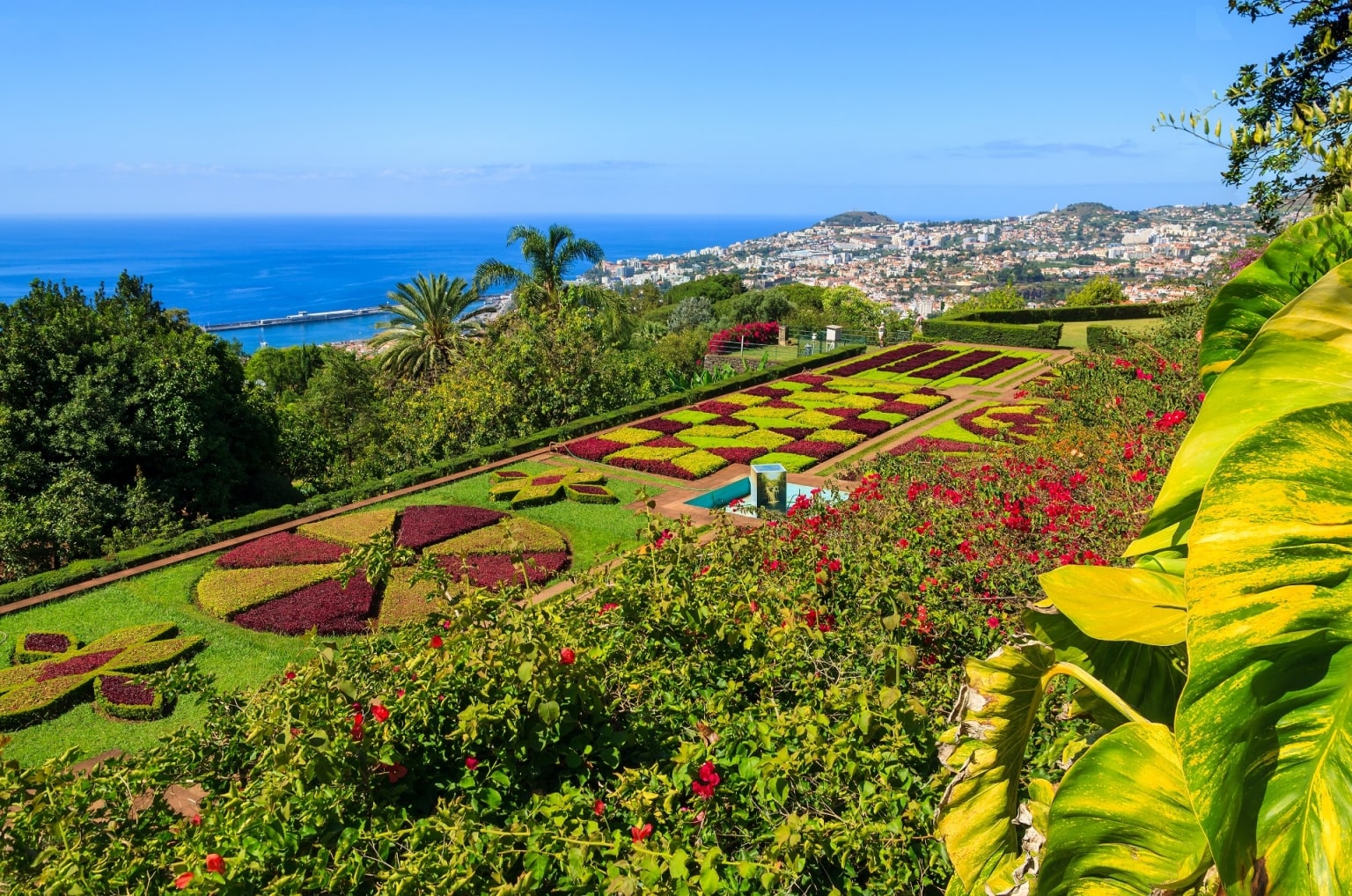Insider's Guide to Funchal, Madeira | Celebrity Cruises
