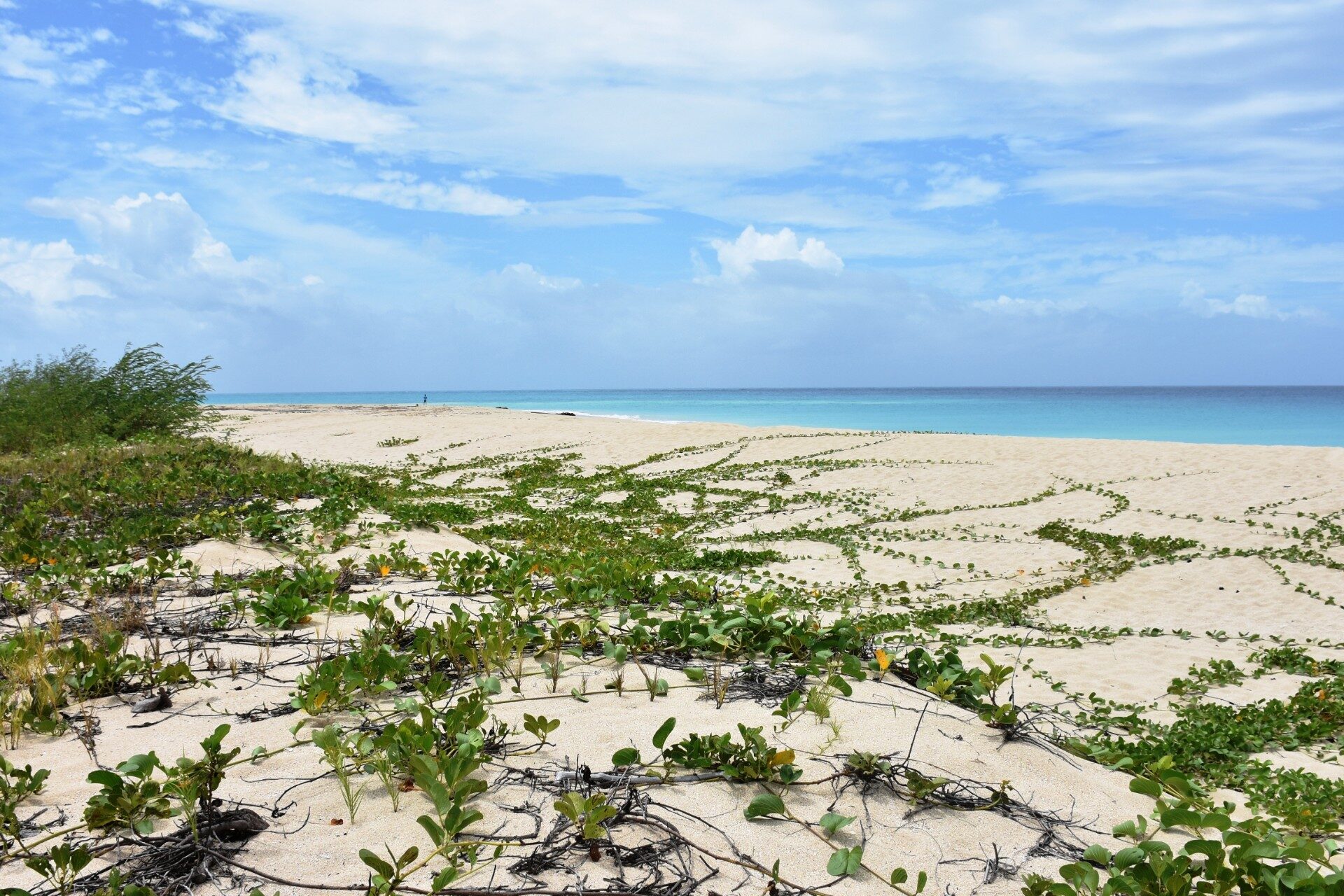 10 Best Beaches in St. Croix | Celebrity Cruises