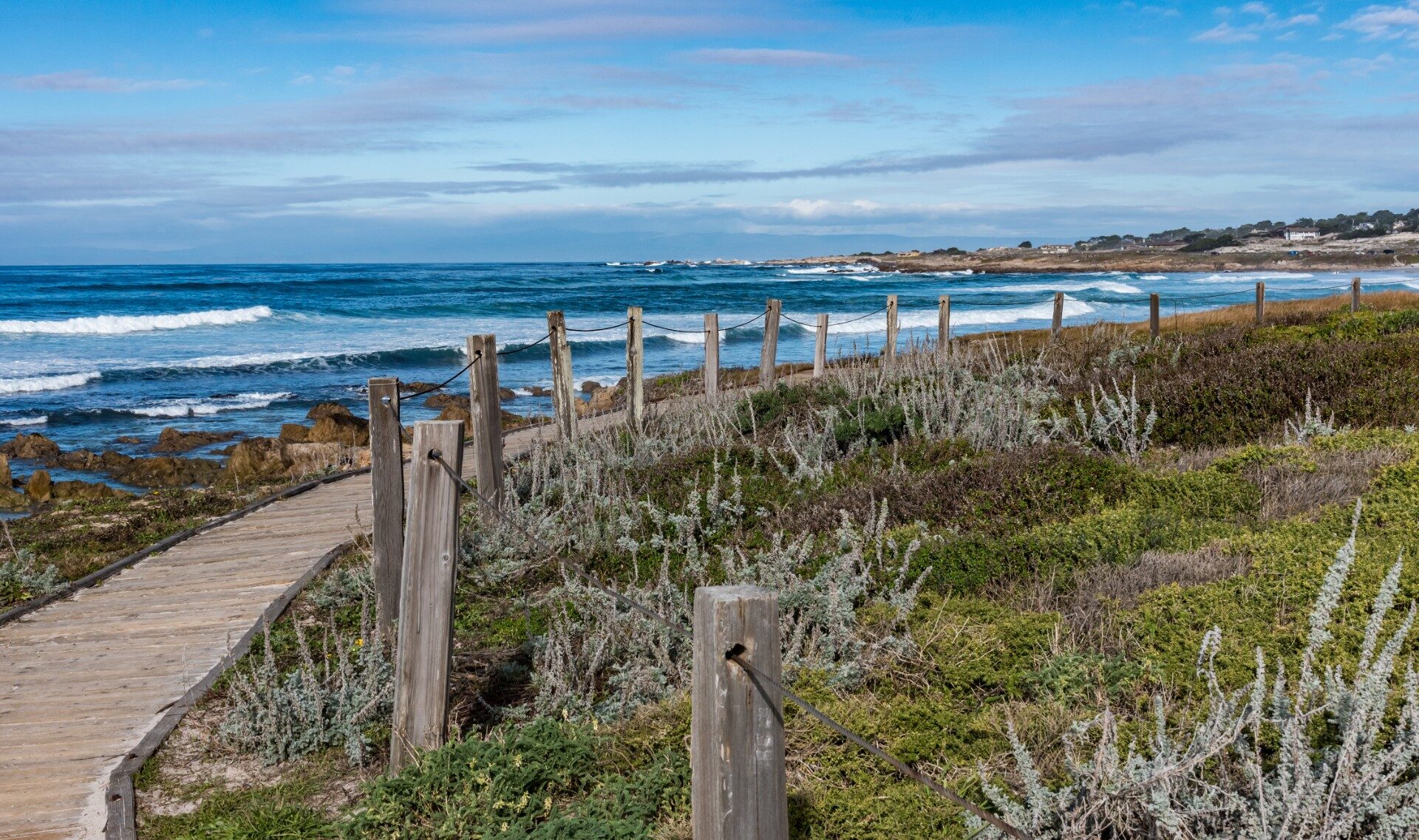 9 Best Beaches in & Around Monterey, California | Celebrity Cruises